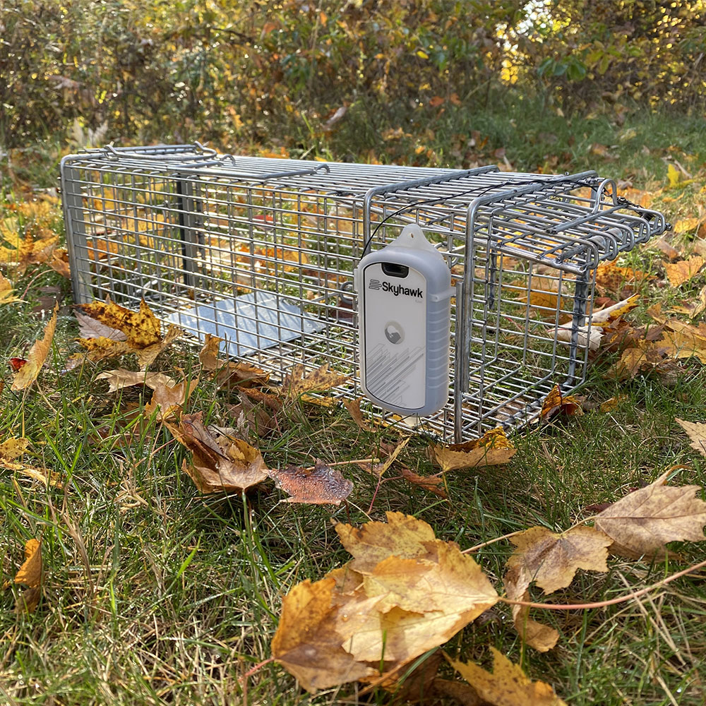 News & Articles - Skyhawk